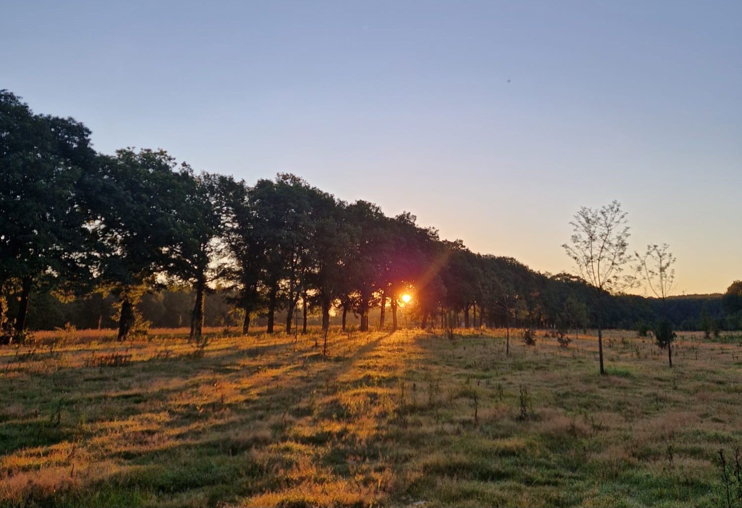 Plattegrond - Natuurbegraafplaats Koningsakker